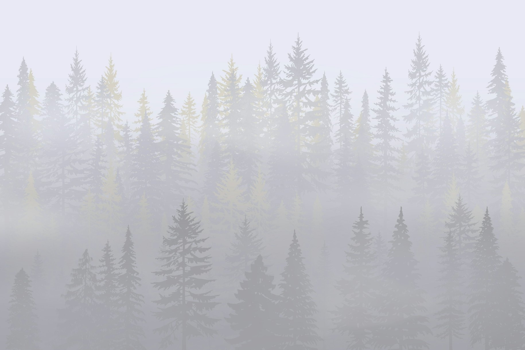 Forest Gray Mountain Wallpaper | Happywall