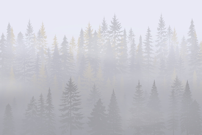 Forest Gray Mountain Wallpaper | Happywall