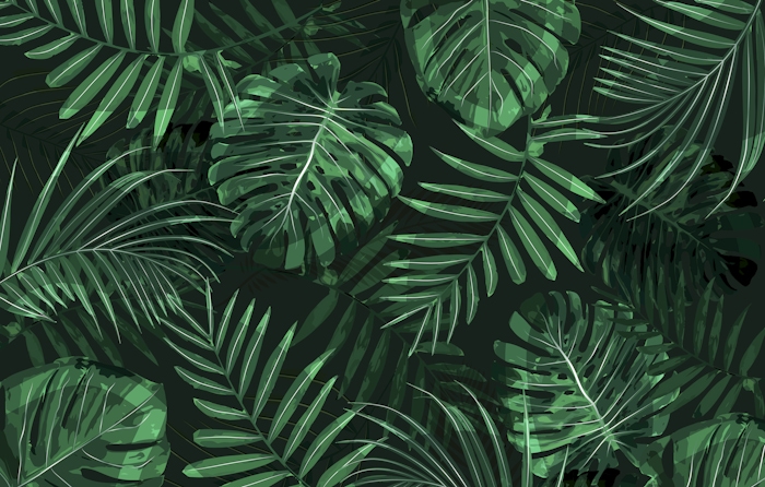 Green Monstera Palm Leaves Tapet - Köp online på Happywall