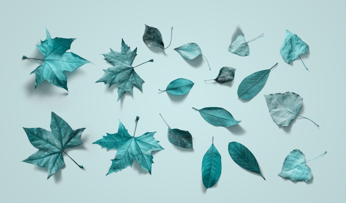 Light Turquoise Leaf Wallpaper