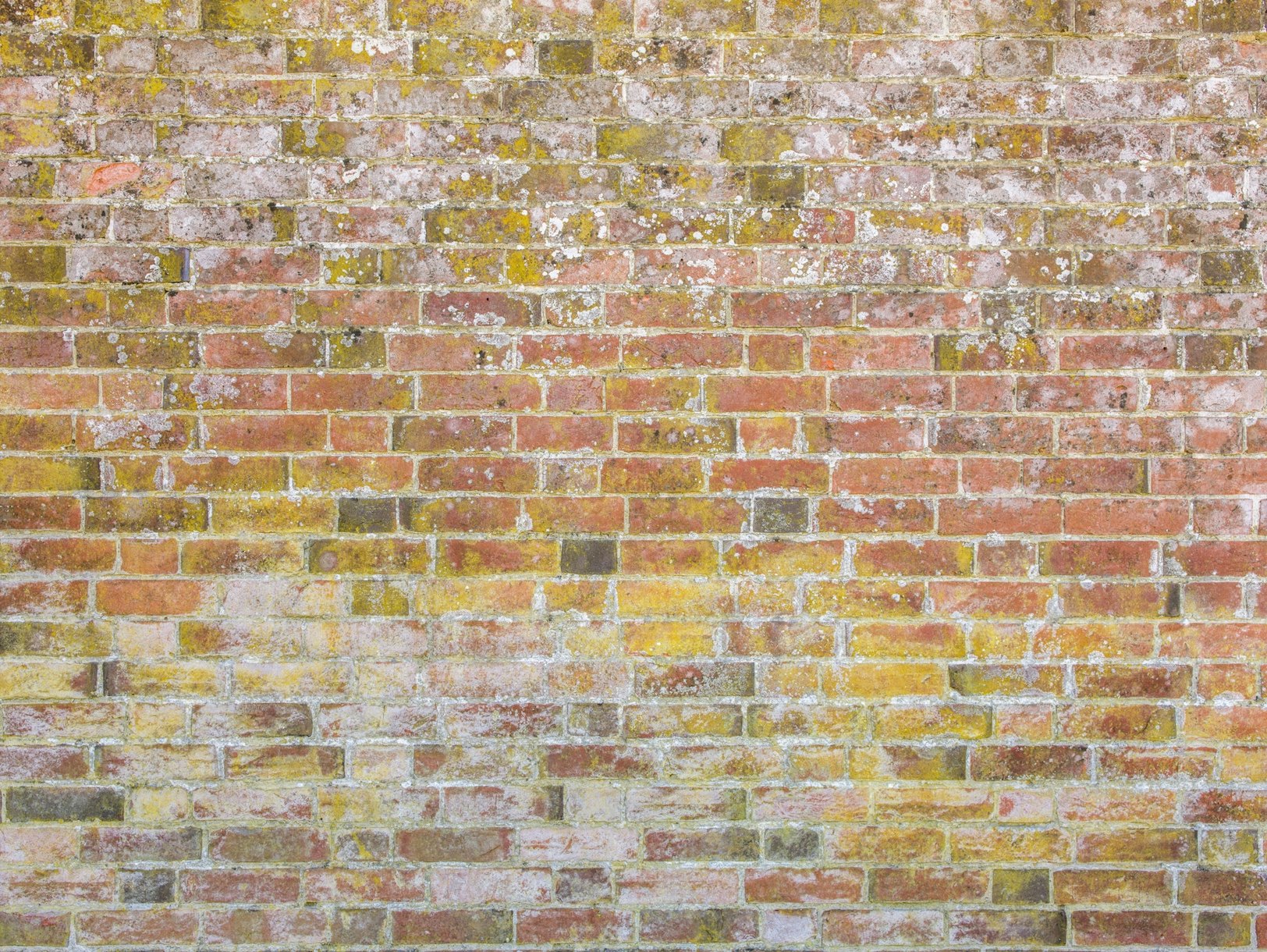 Brick Wall Wallpaper - Rustic and Chic Wall Decor | Happywall