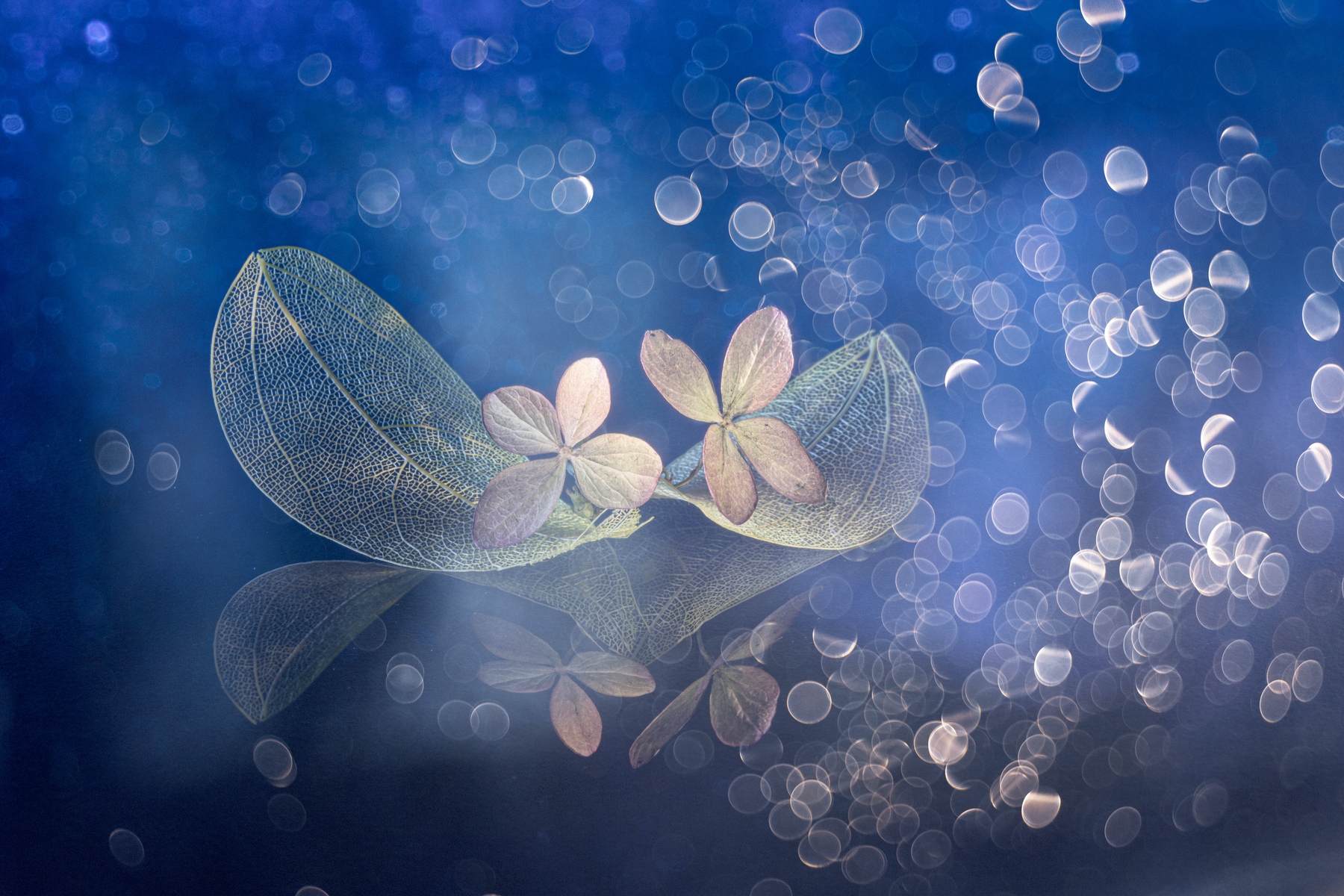 Fairytale fantasy wallpaper - Happywall