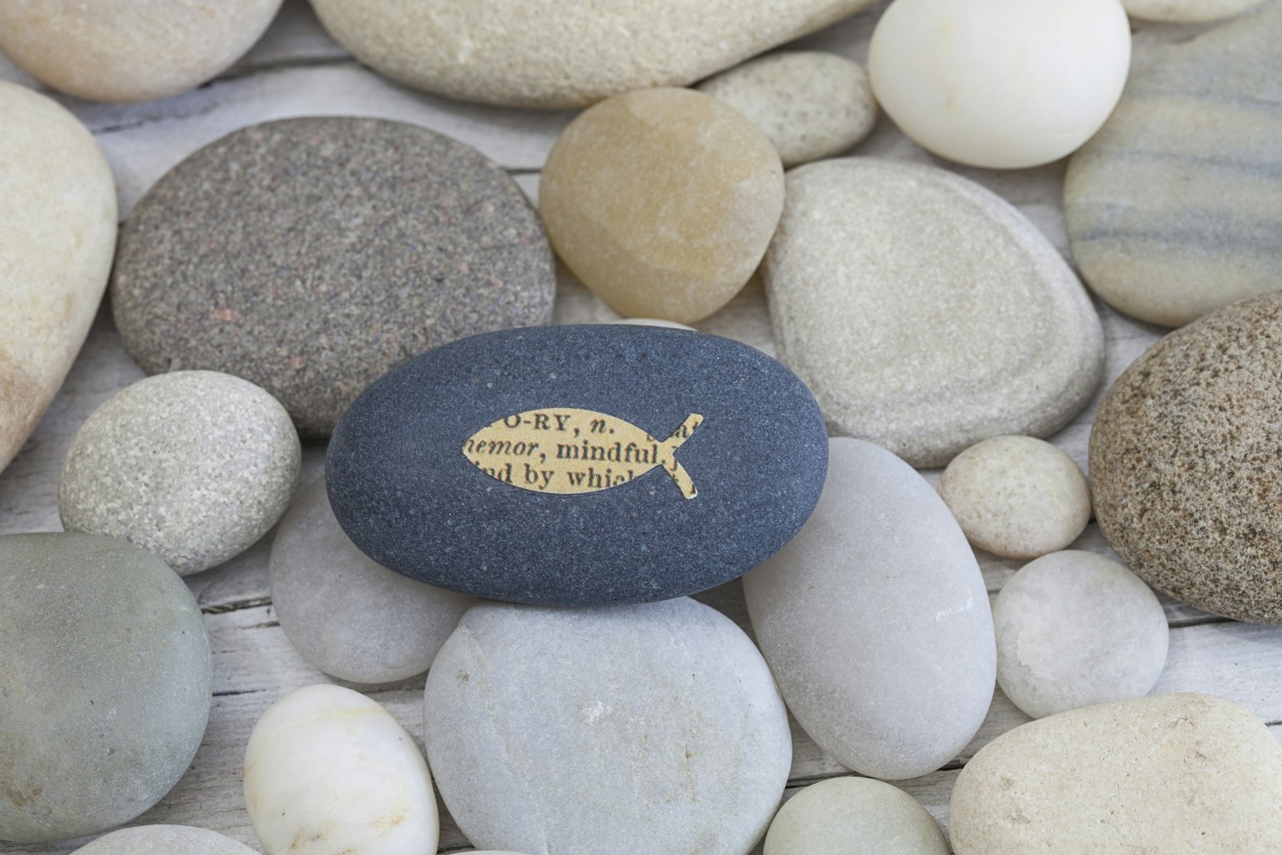 Mindful Fish Wallpaper - For a Peaceful and Serene Home | Happywall