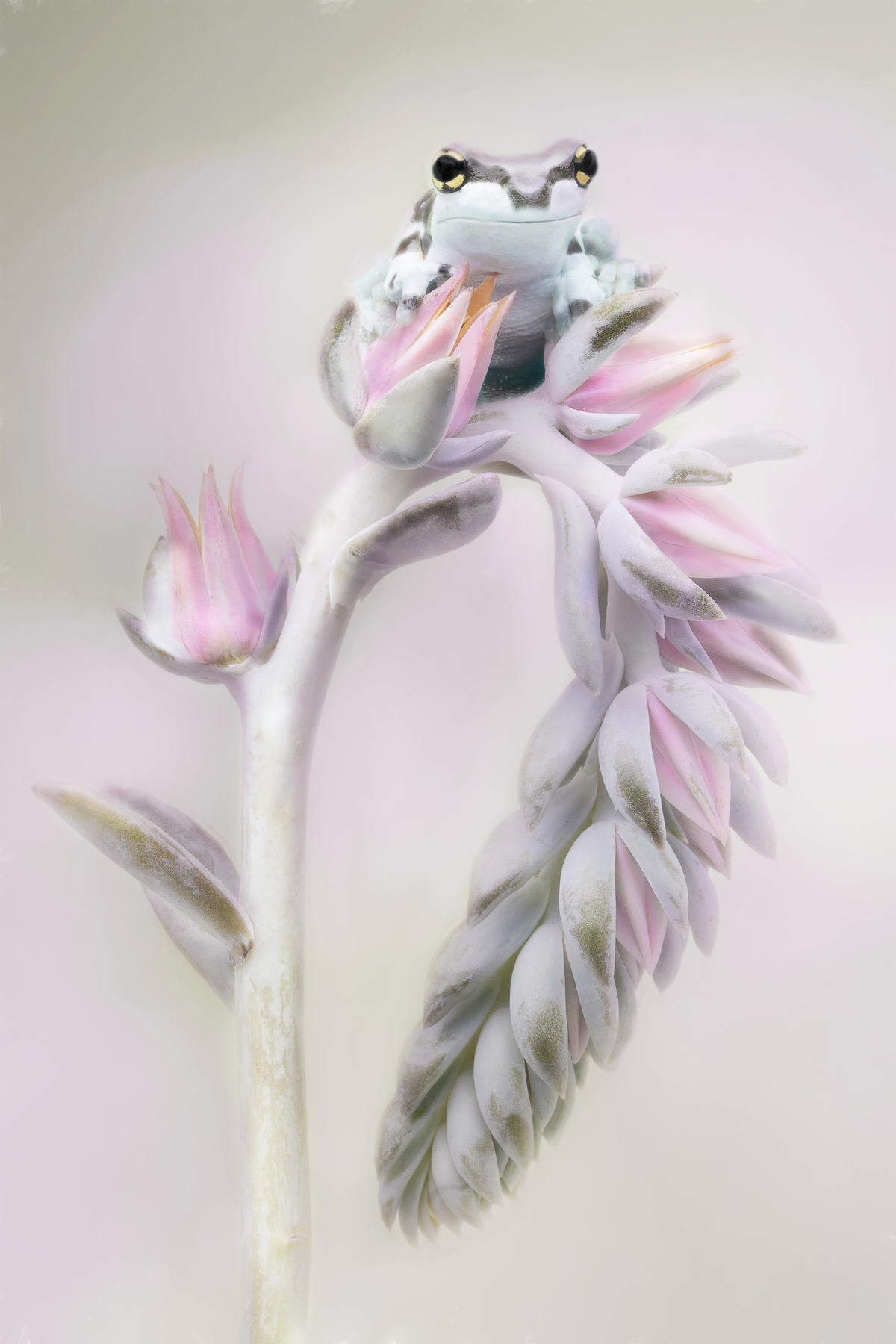 Hitching a Ride Wallpaper - Buy Now | Happywall