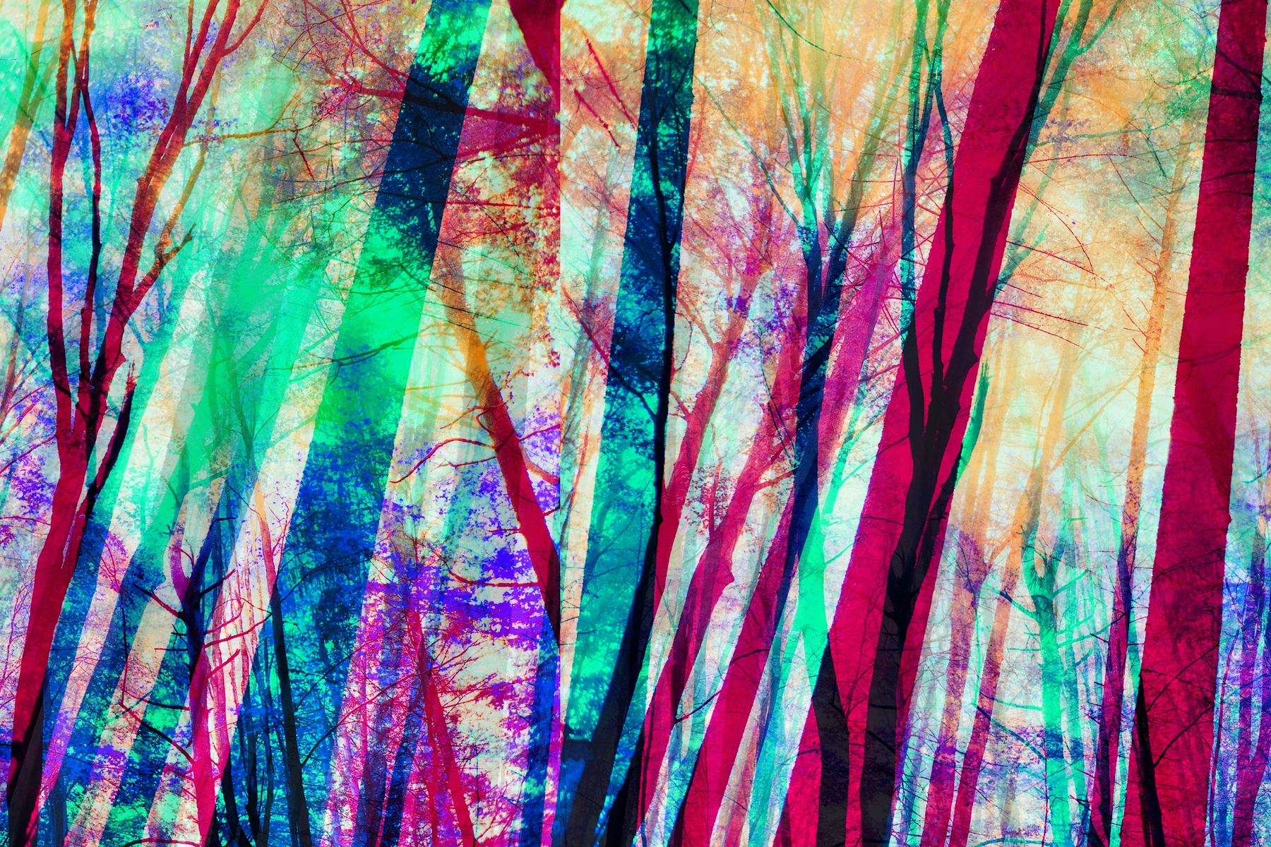 Modern Boho Forest Art Wallpaper | Happywall