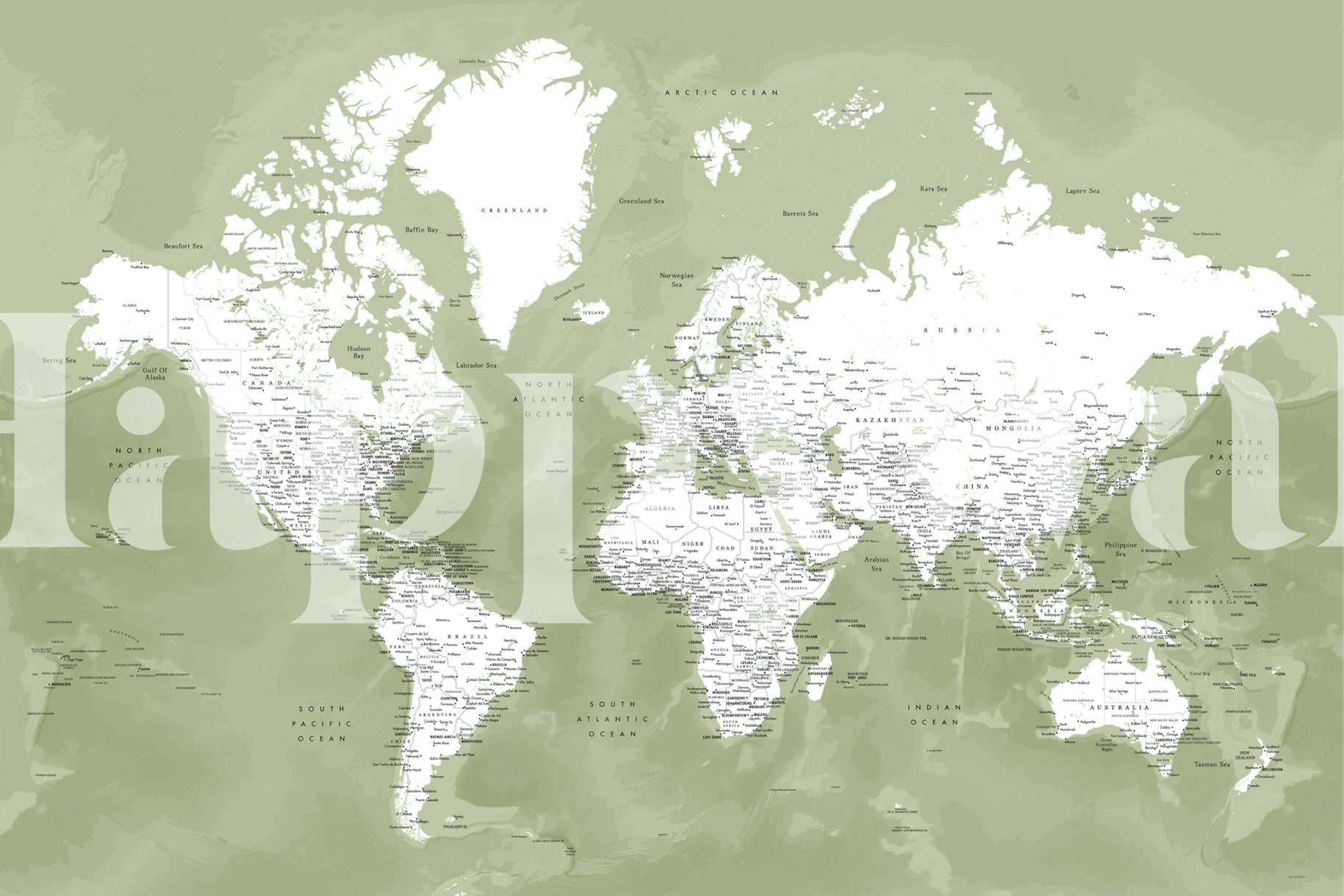 Detailed world map Pacheco wallpaper - Happywall