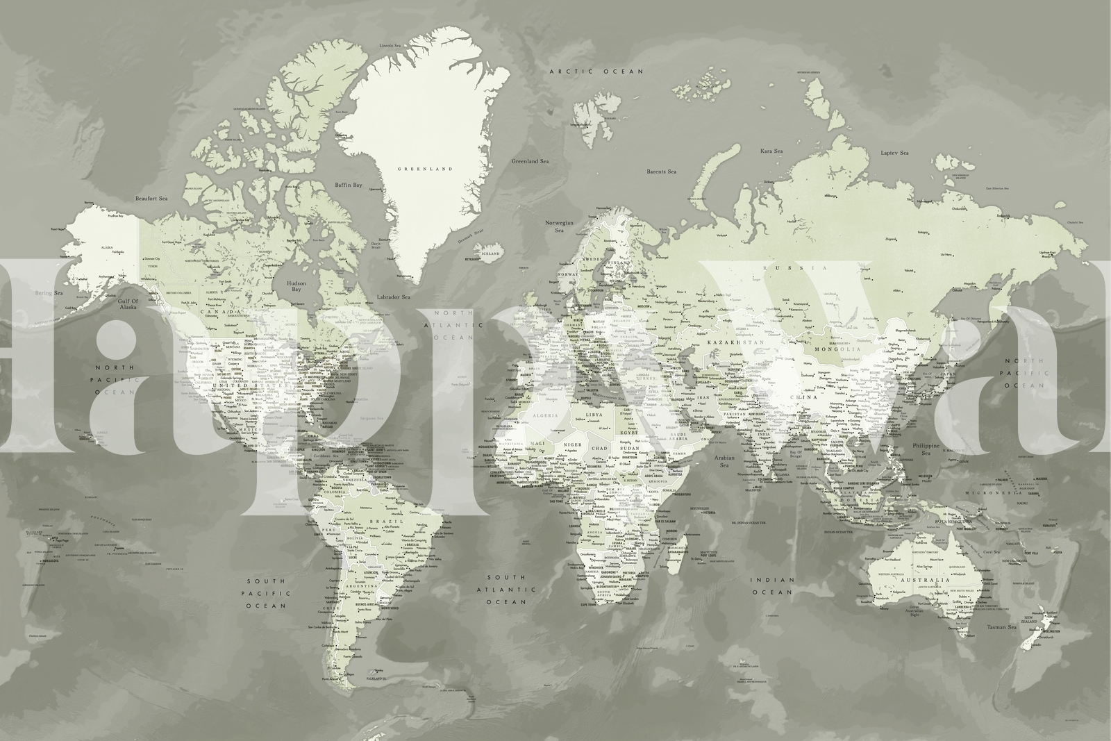 Detailed World Map Faolan Wallpaper - Happywall