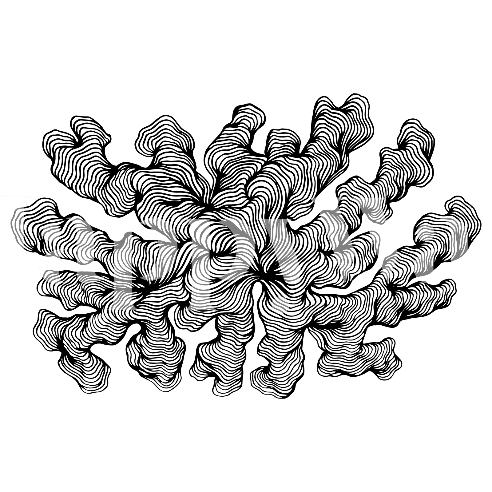 Black and White Abstract Wallpaper