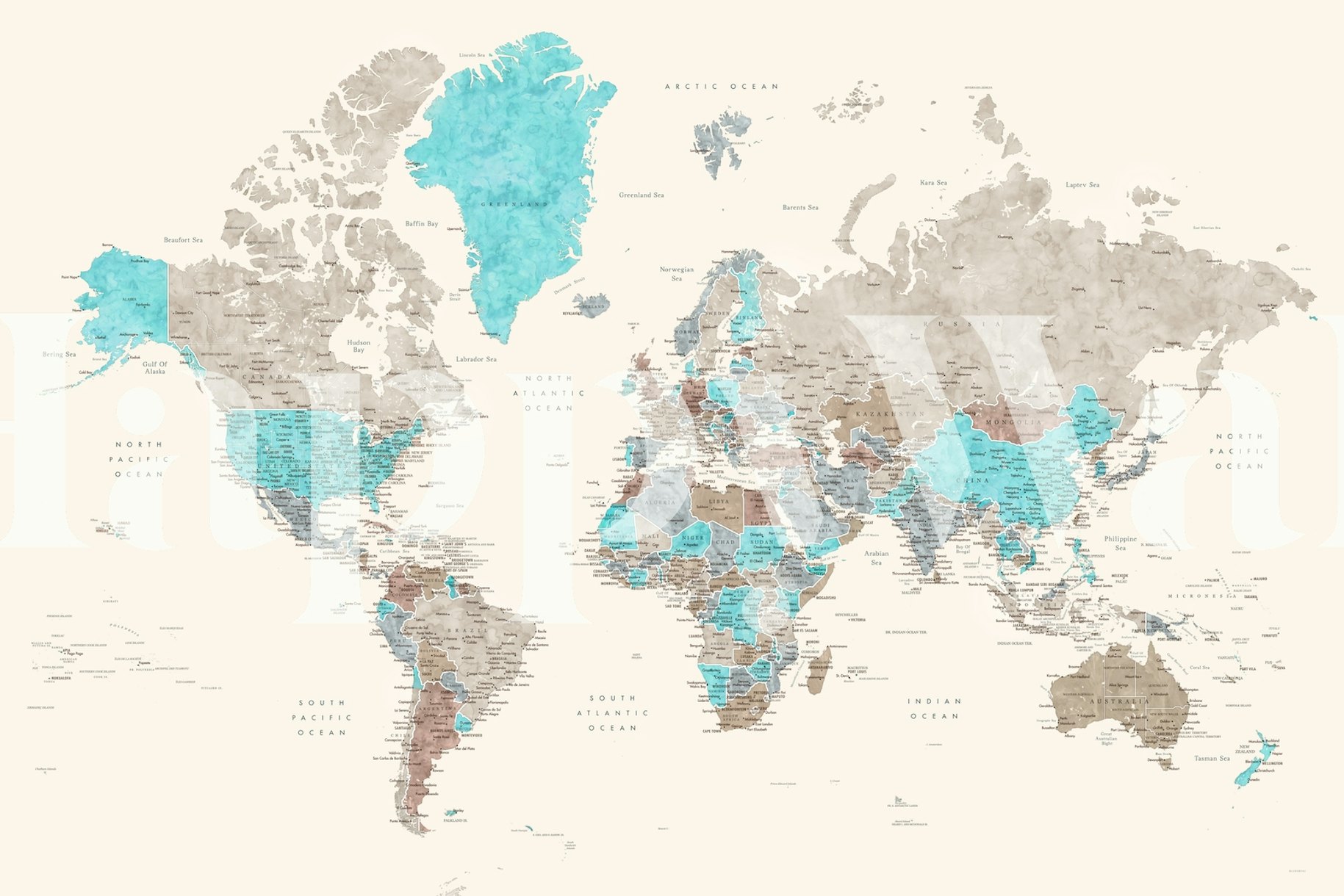Detailed World Map Romy Wallpaper | Happywall