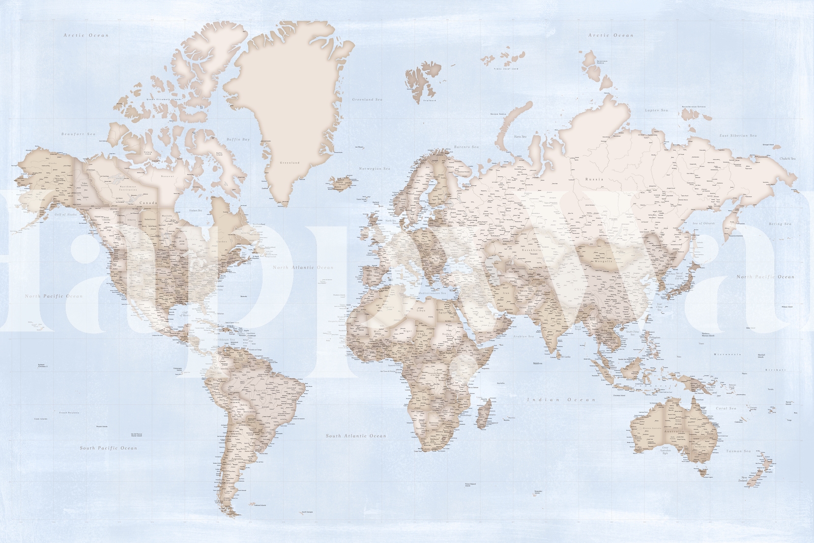 High Detail World Map Wallpaper | Happywall