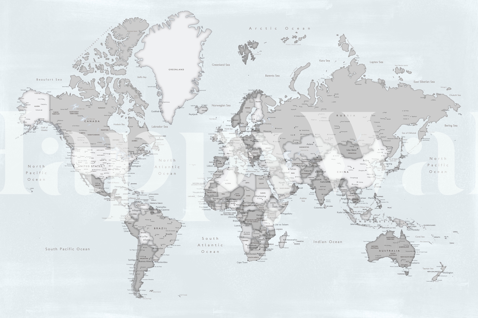 Grey Vintage World Map Wallpaper