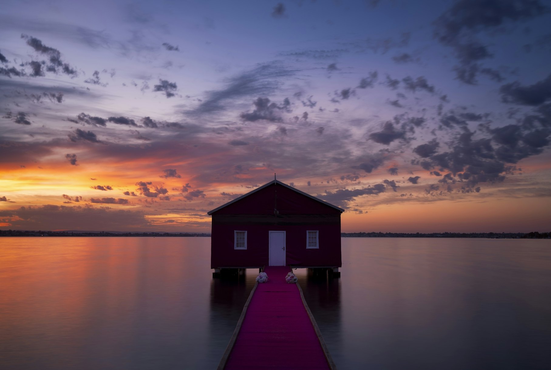 Tickled Pink wallpaper | Happywall