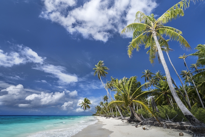 Desert Island Wallpaper - happywall.com