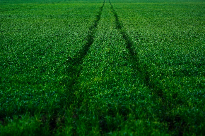 Track and Field Wallpaper | Happywall