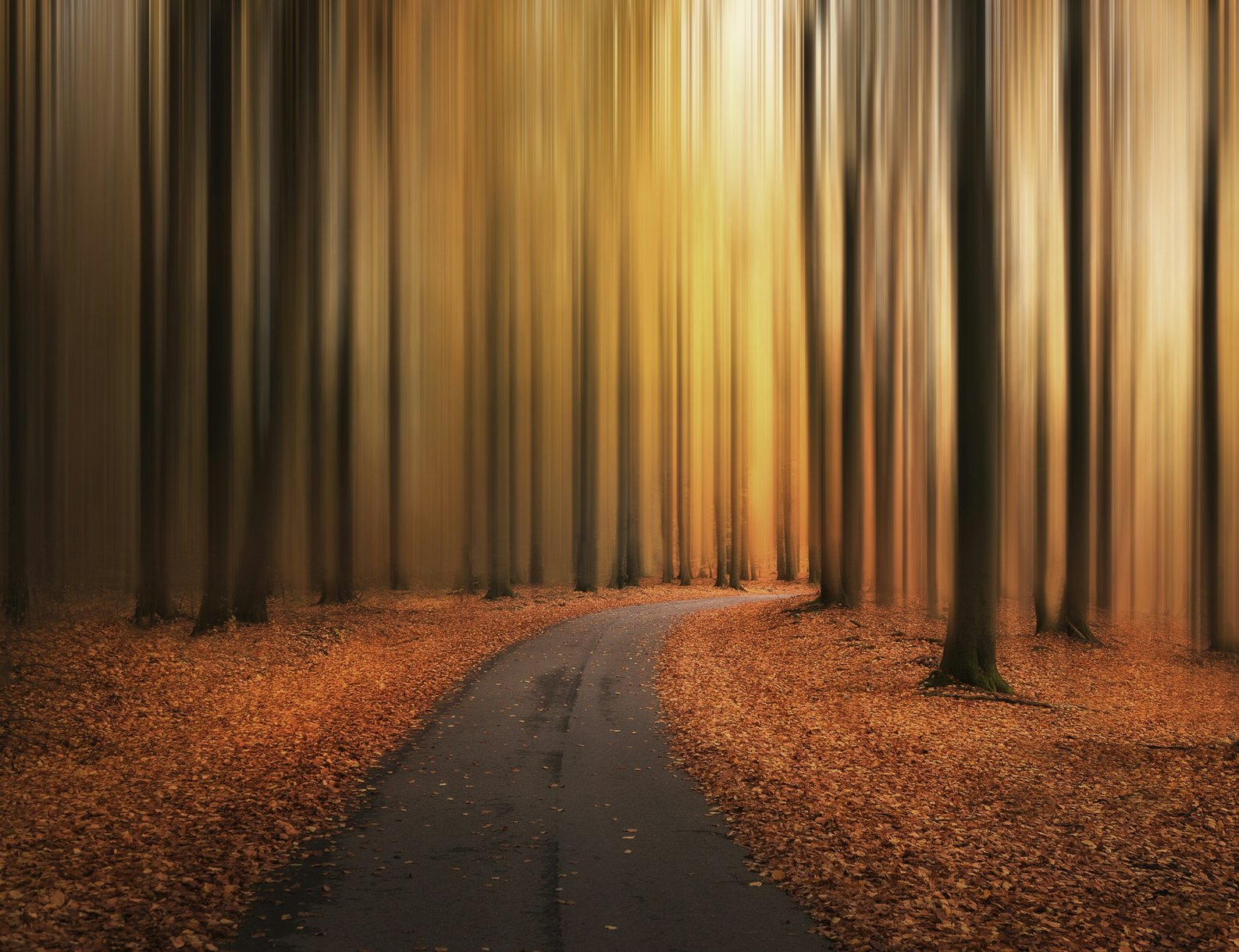 "Path to Unknown Wallpaper - Buy Now on Happywall"