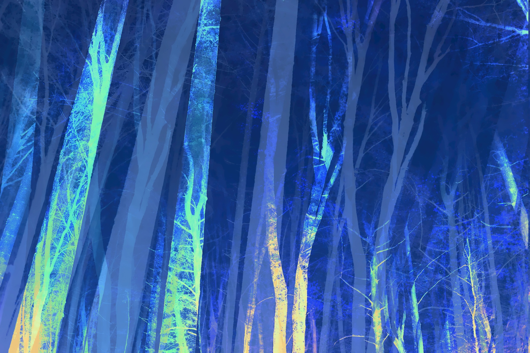 Get Lost in the Mystery of our Forest Trees Night Blue Wallpaper ...
