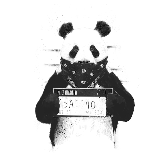 Bad Panda Wallpaper - Cute and Quirky Wall Decor | Happywall