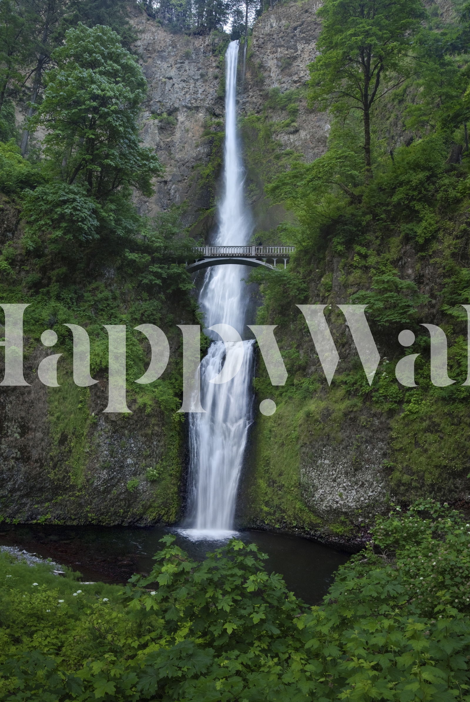 Multnomah Falls Nature Wallpaper