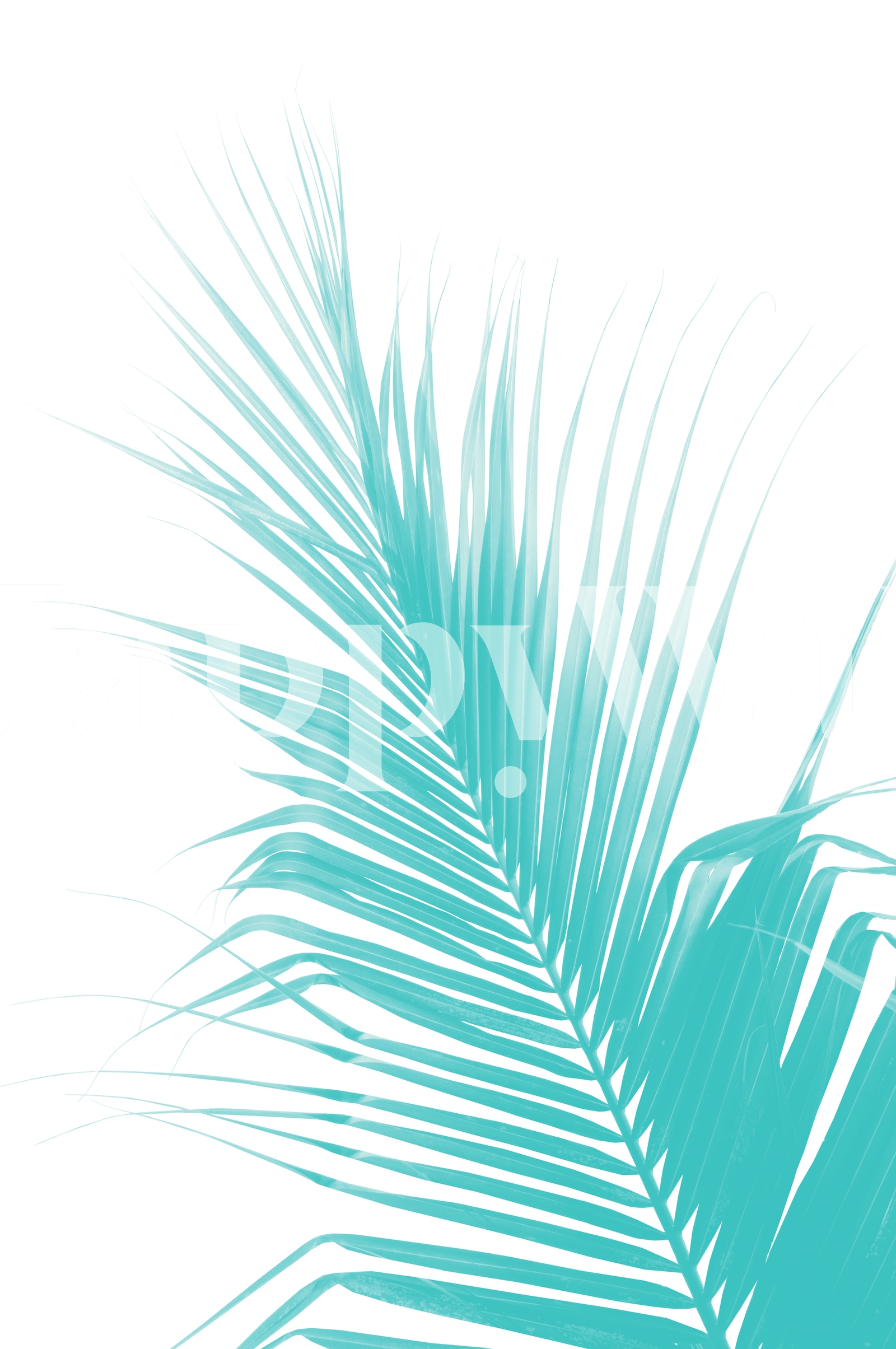 Turquoise Palm Leaf Wallpaper for Tropical Decor