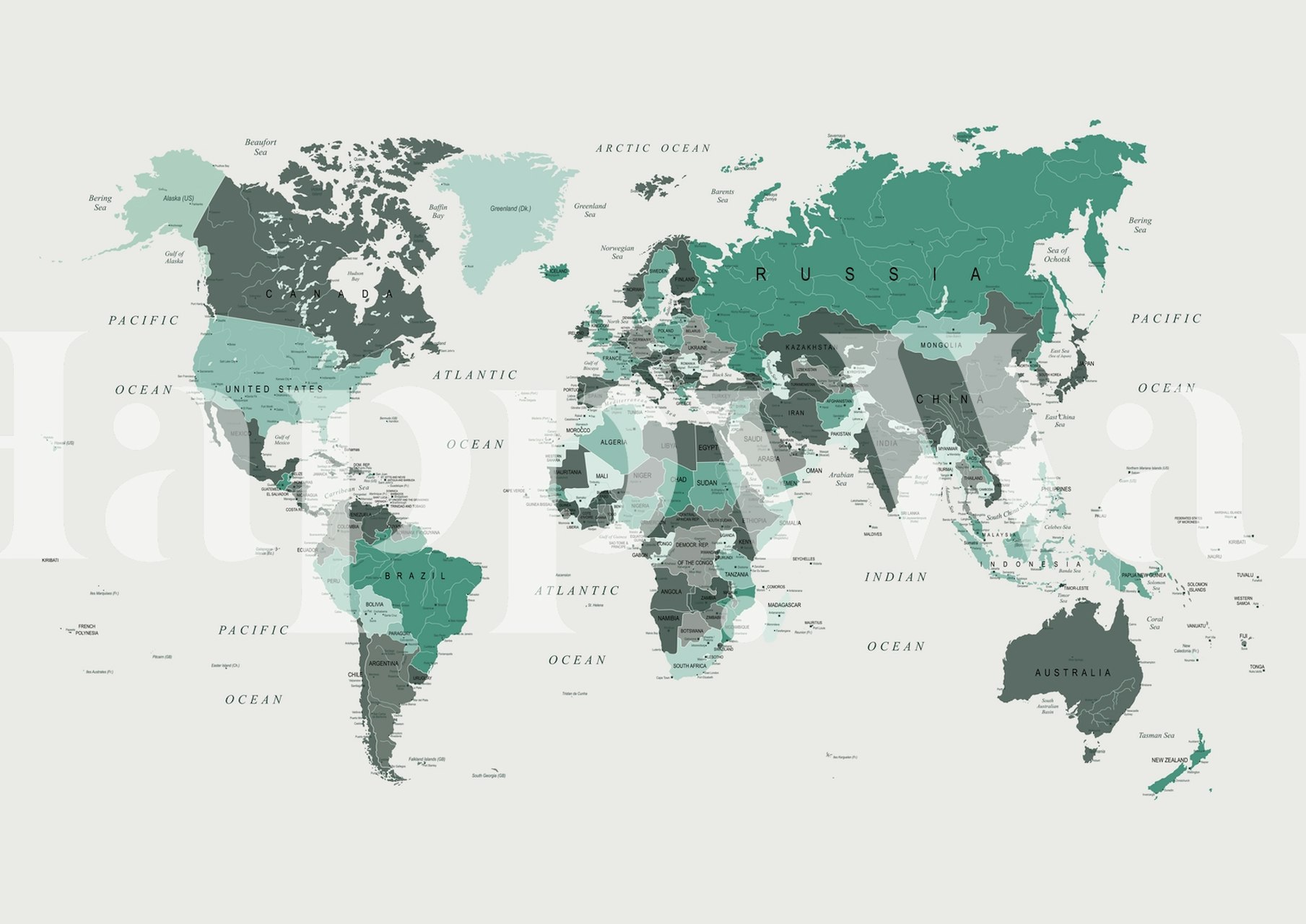 World Map Forest Green Wallpaper | Buy Online | Happywall