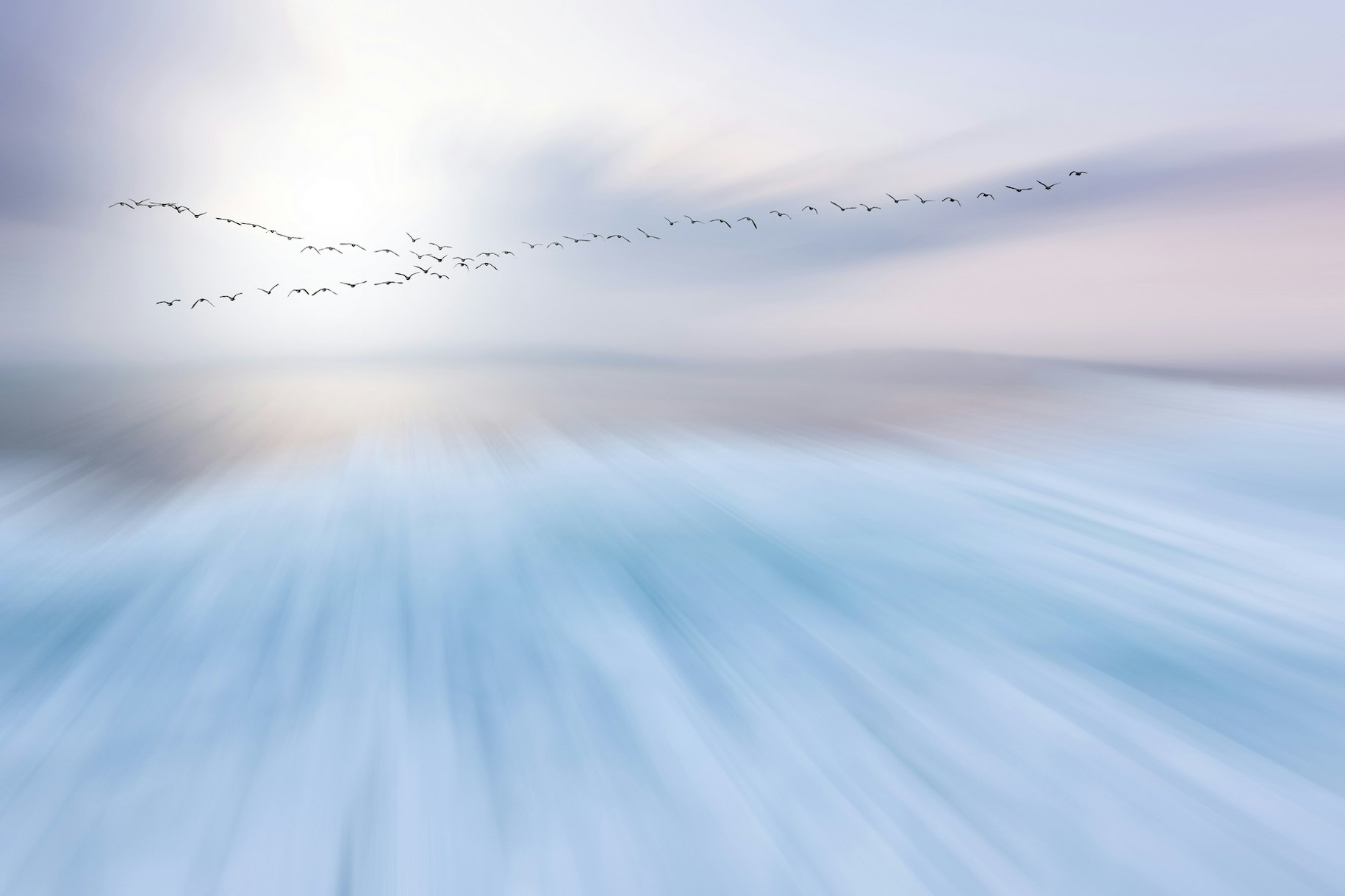 Fly Over Wallpaper - Blue Sky Wall Mural | Happywall