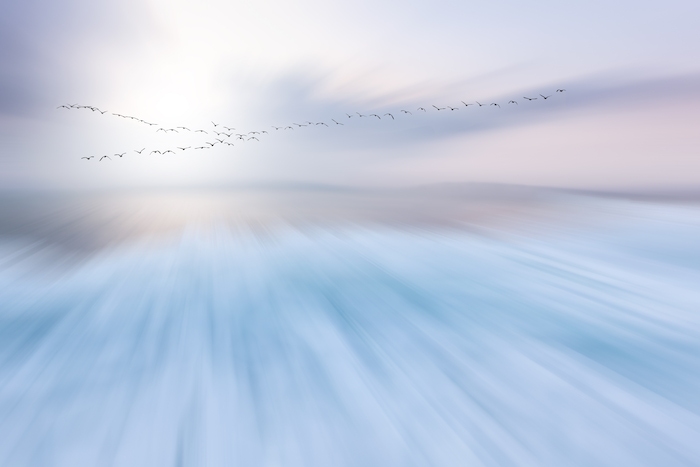 Fly Over Wallpaper - Blue Sky Wall Mural | Happywall