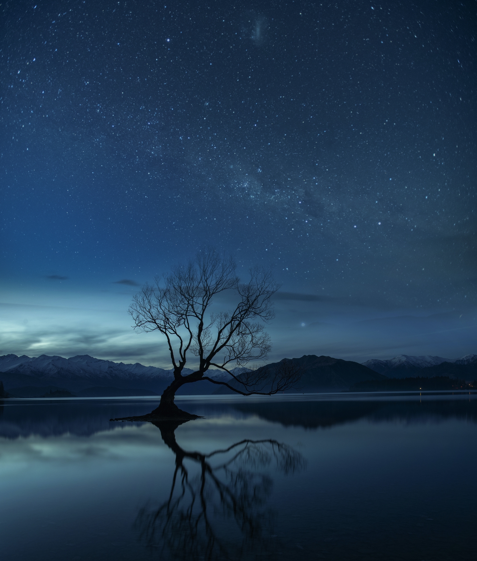 Wanaka Tree Wallpaper - Beautiful Landscape Wall Murals | Happywall