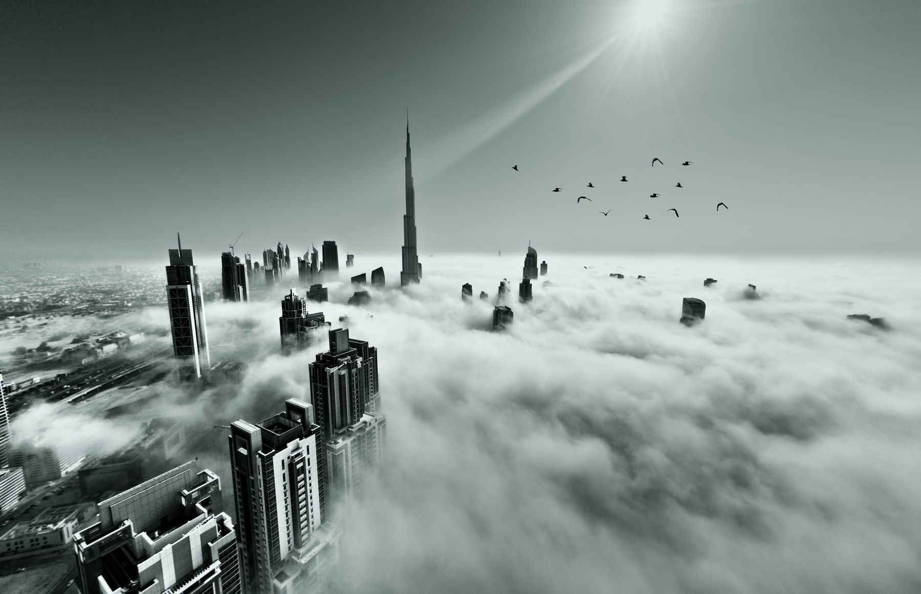 Up, Up and Above Wallpaper | Happywall.com