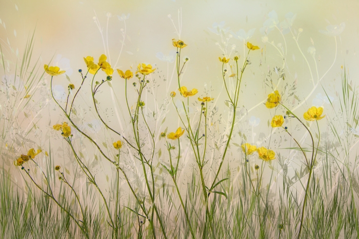 Good Morning X Wallpaper | Happywall