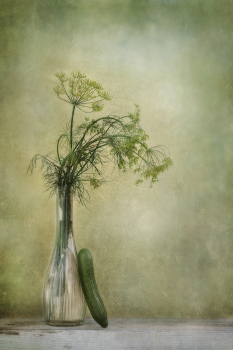Green Botanical Dill and Cucumber Wallpaper