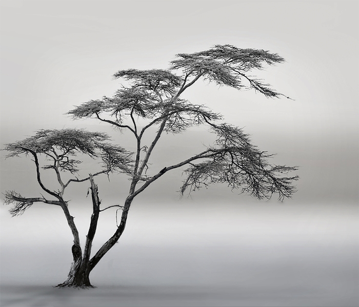 A Very Long Story Wallpaper - Buy Now on Happywall