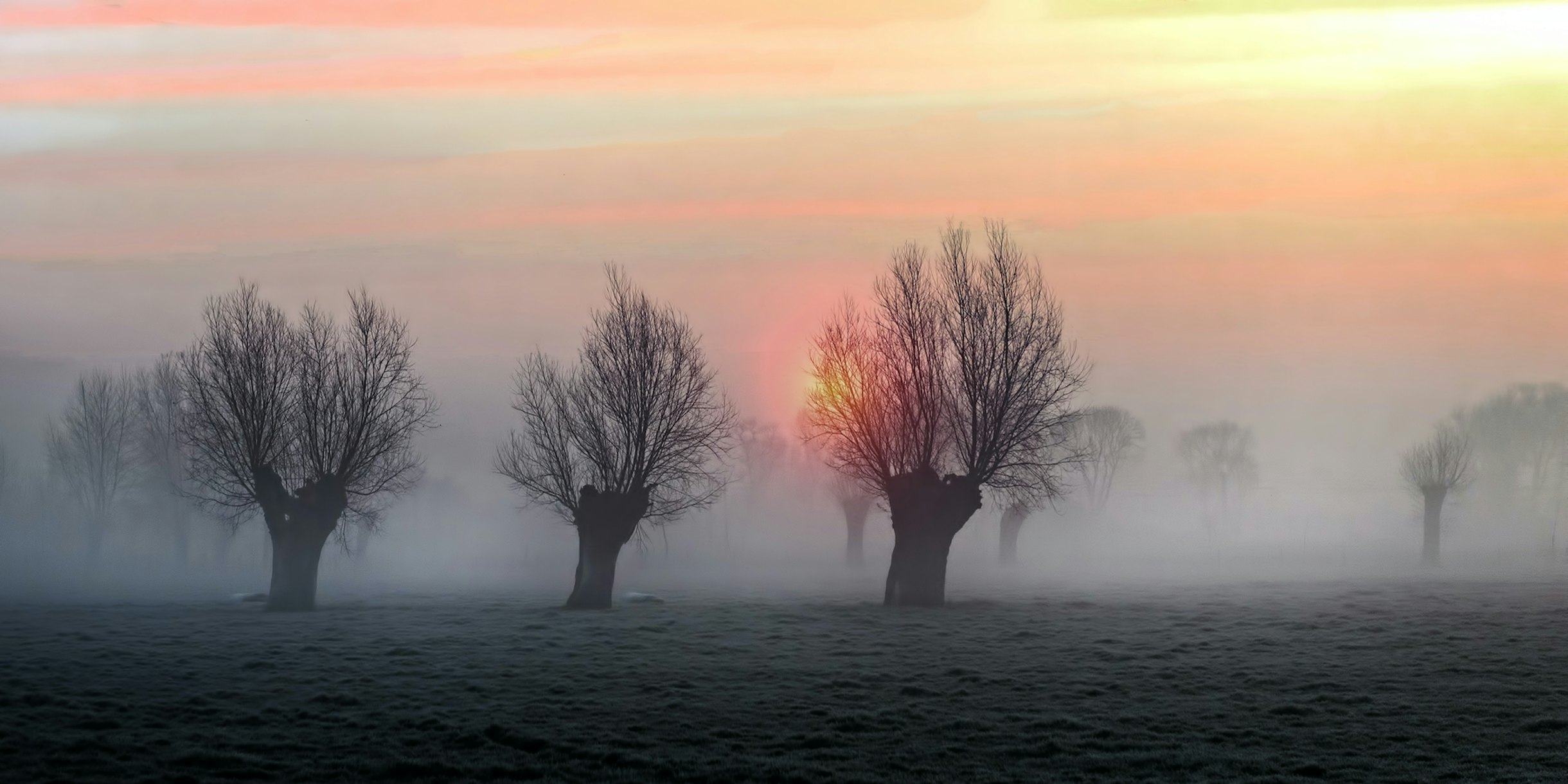 Buy "The Shadow of Time" Wallpaper Online - Happywall