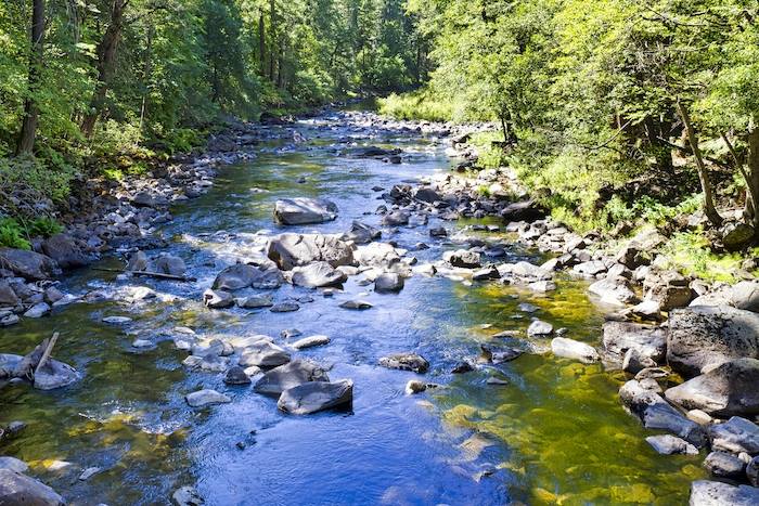 California Merced River Wallpaper | Happywall
