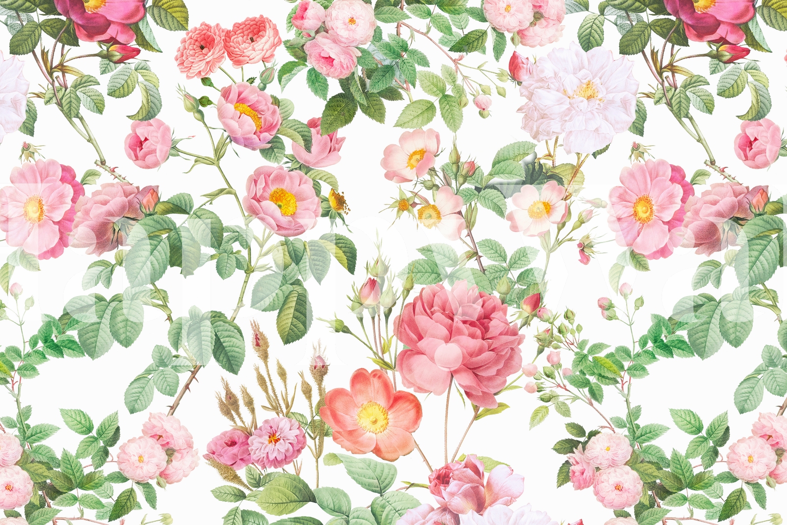 Redouté Roses Garden wallpaper wallpaper | Happywall