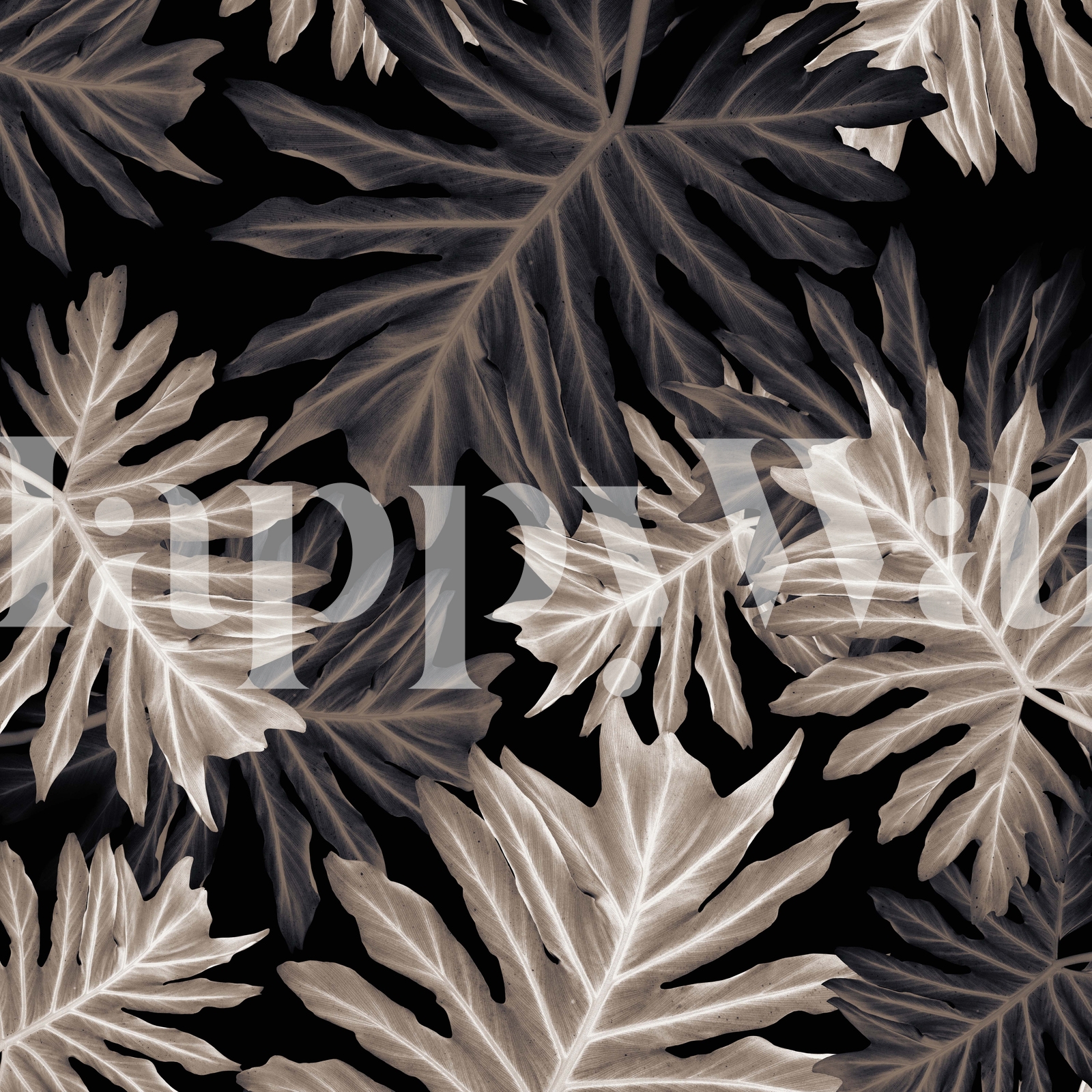 Philo Hope Tropical Jungle 4 Wallpaper | Happywall
