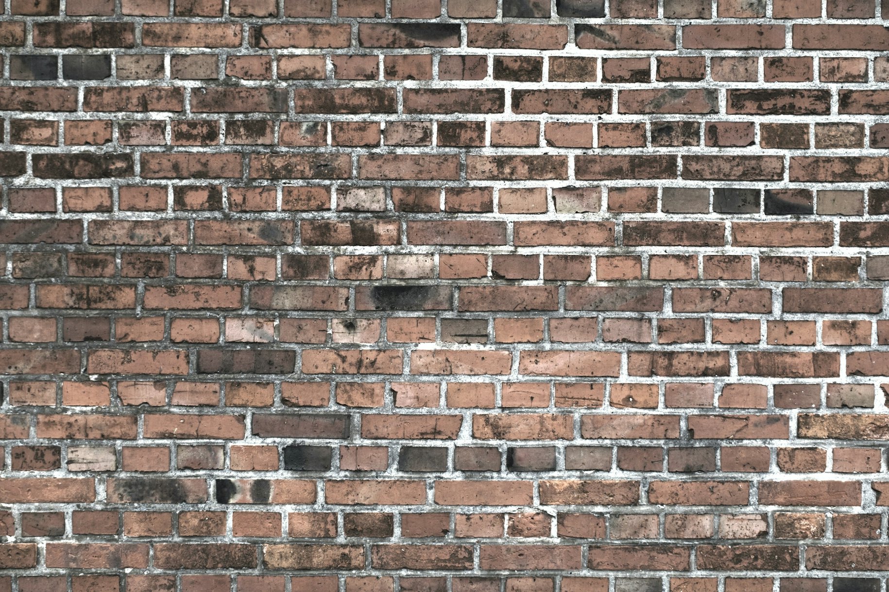 Genuine Brick Wall Wallpaper | High-Quality Urban Mural | Happywall