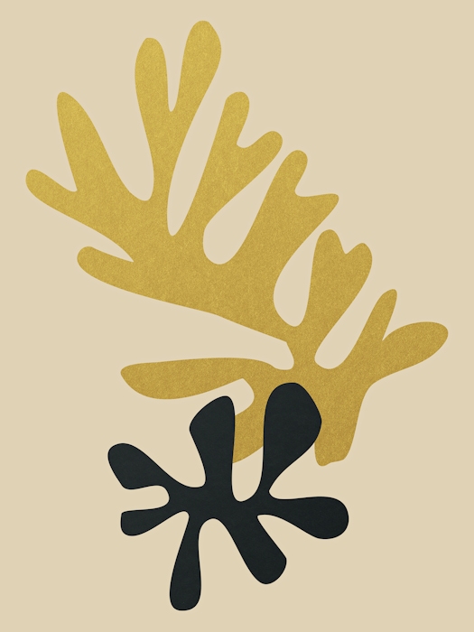 Gold Coral Matisse Style Wallpaper | Happywall