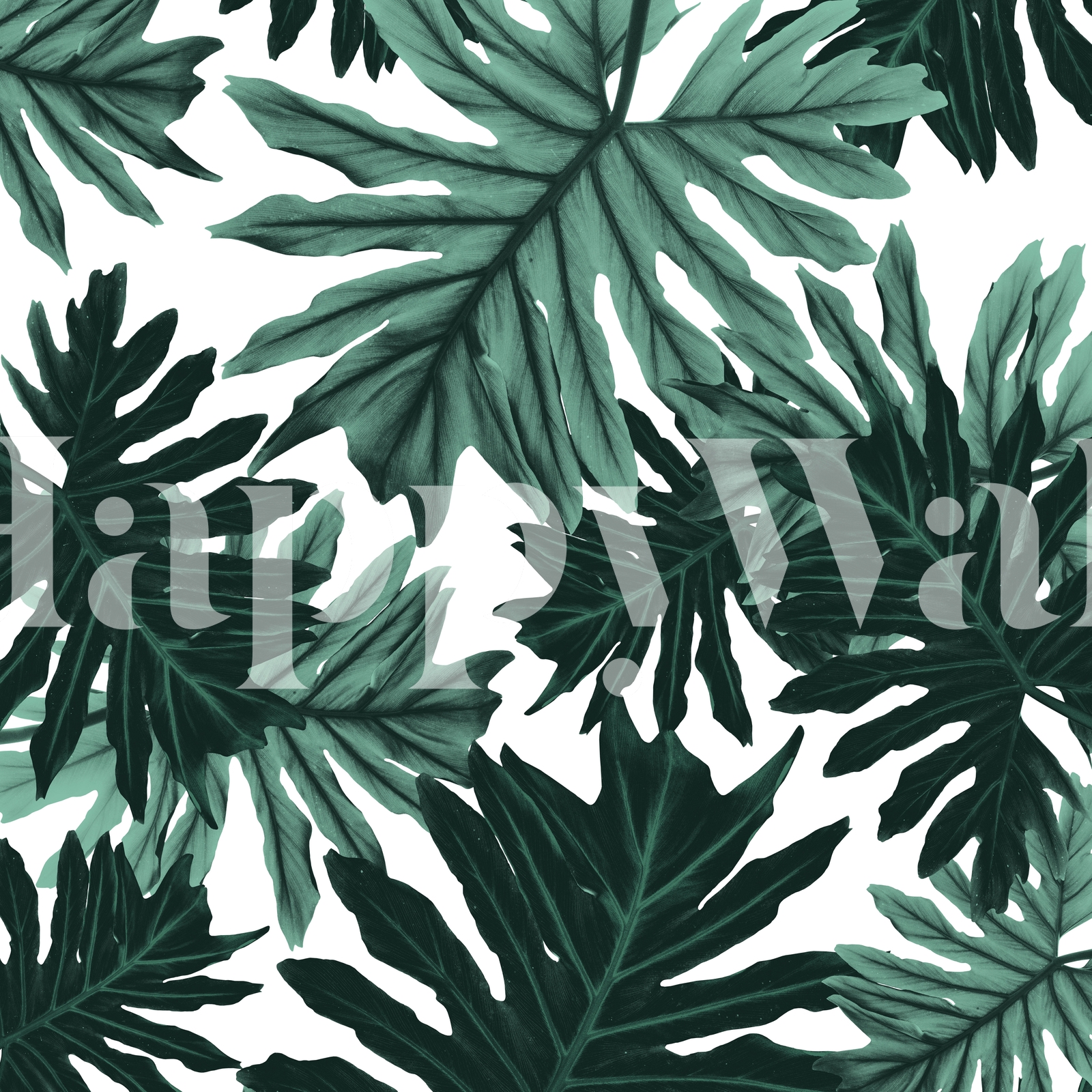 Philo Hope Tropical Jungle 6 Wallpaper | Happywall