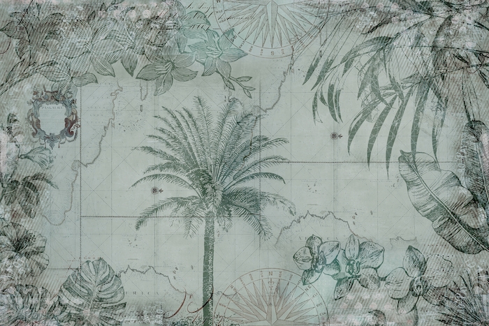 Vintage Map Tropical Jungle Wallpaper - Happywall
