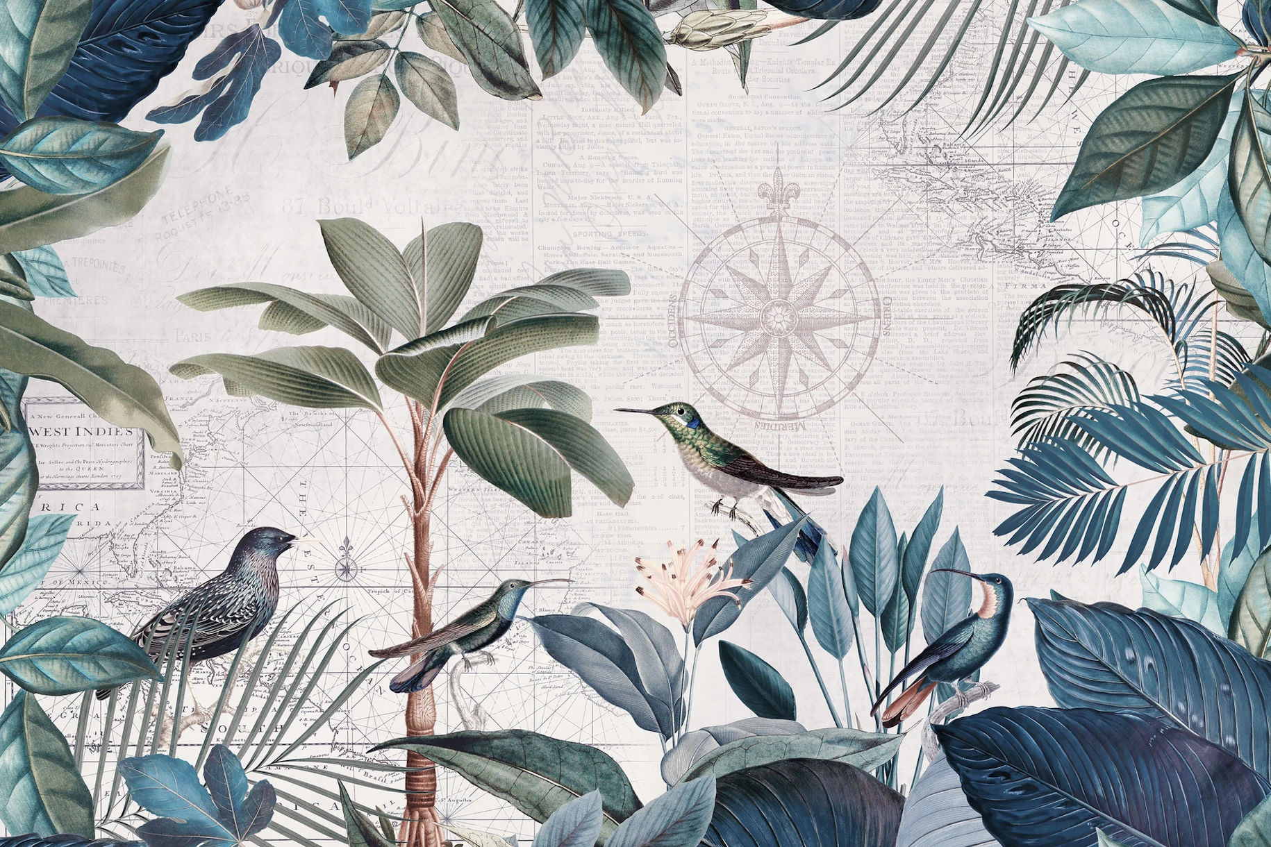 Tropical Birds Paradise Wallpaper - Exotic and Colorful Wall Decor by ...