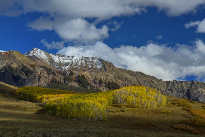 Transform Your Room with Our Colorado Autumn Wallpaper | Happywall