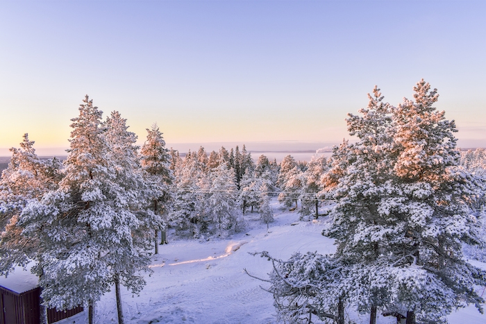 Lapland Winter Landscape 1 Wallpaper - Happywall.com