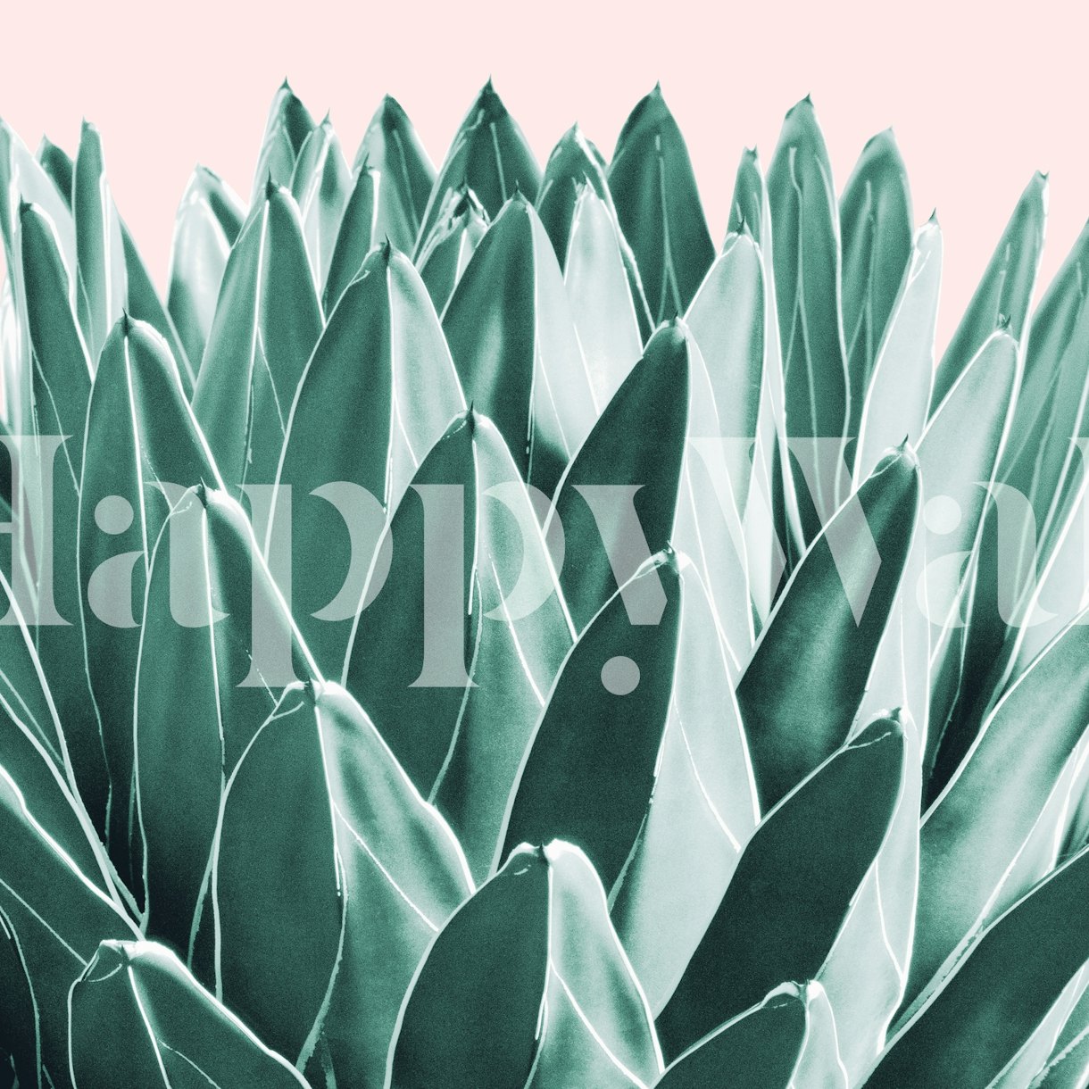 Agave Chic 10 Wallpaper - Designer Wallpapers | Happywall