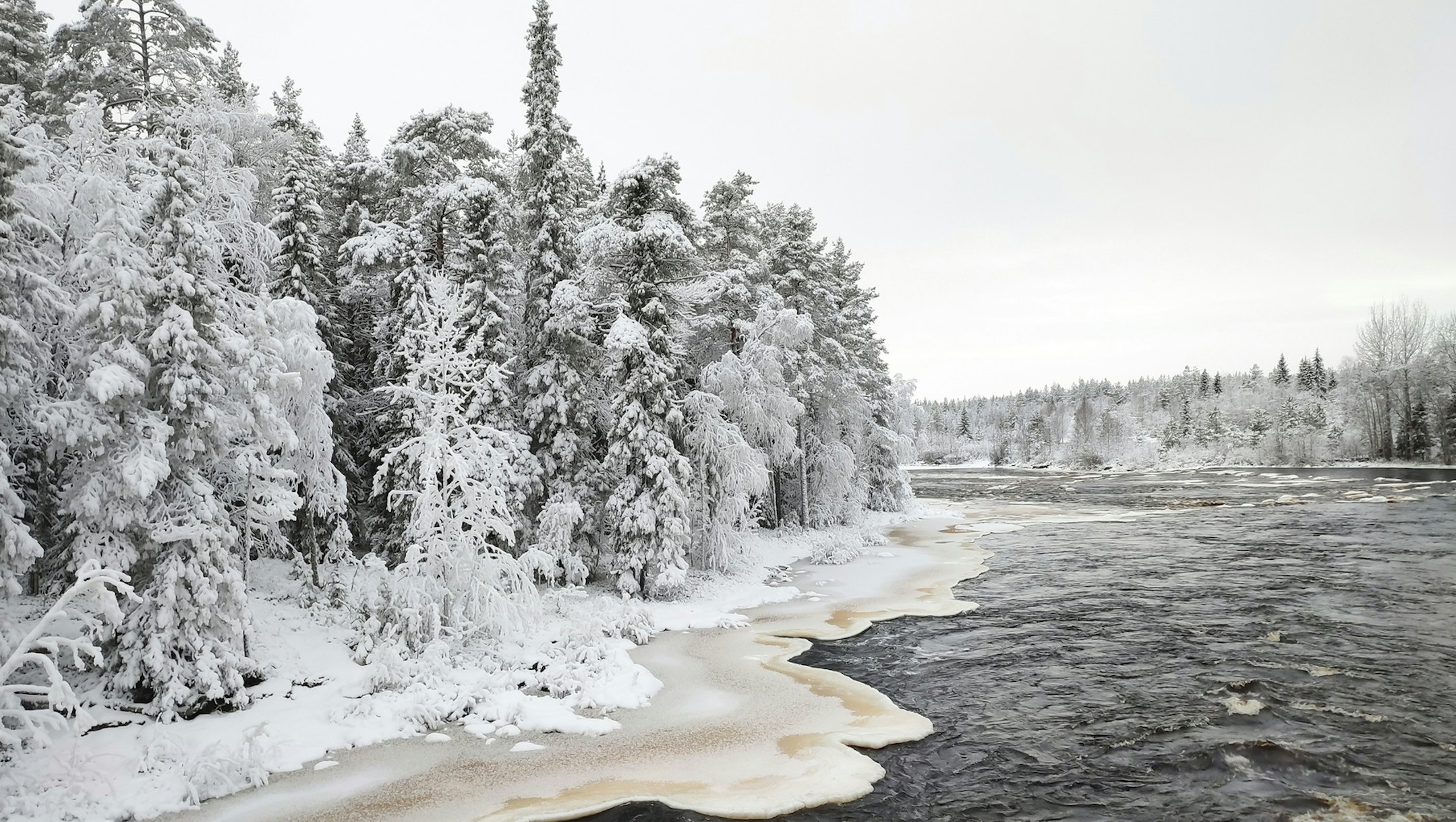 Lapland Winter Landscape Wallpaper | Happywall