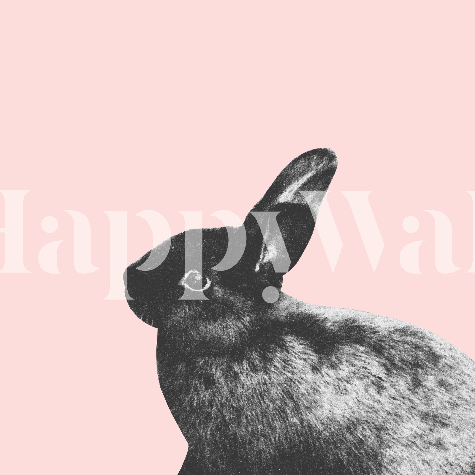 Little Rabbit on Blush 1 Wallpaper - Happywall