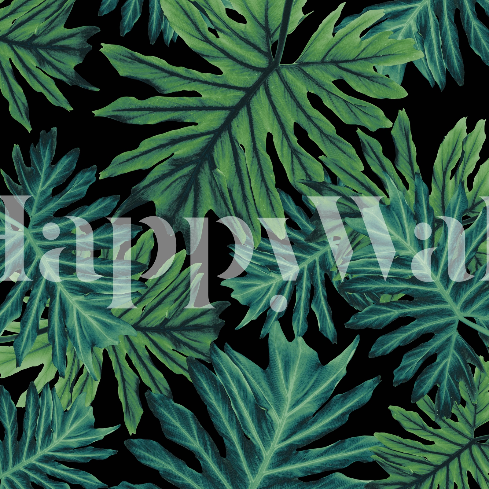 Philo Hope Tropical Jungle 1 x Wallpaper | Happywall