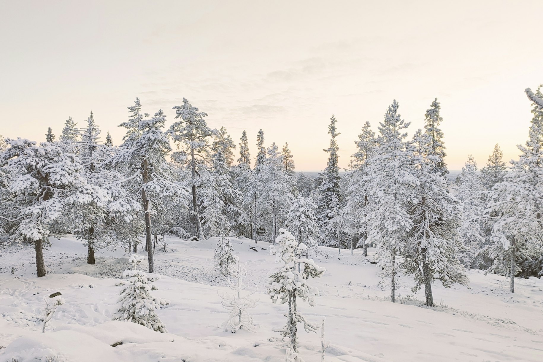 Nature winter snowfall 10 wallpaper - Happywall