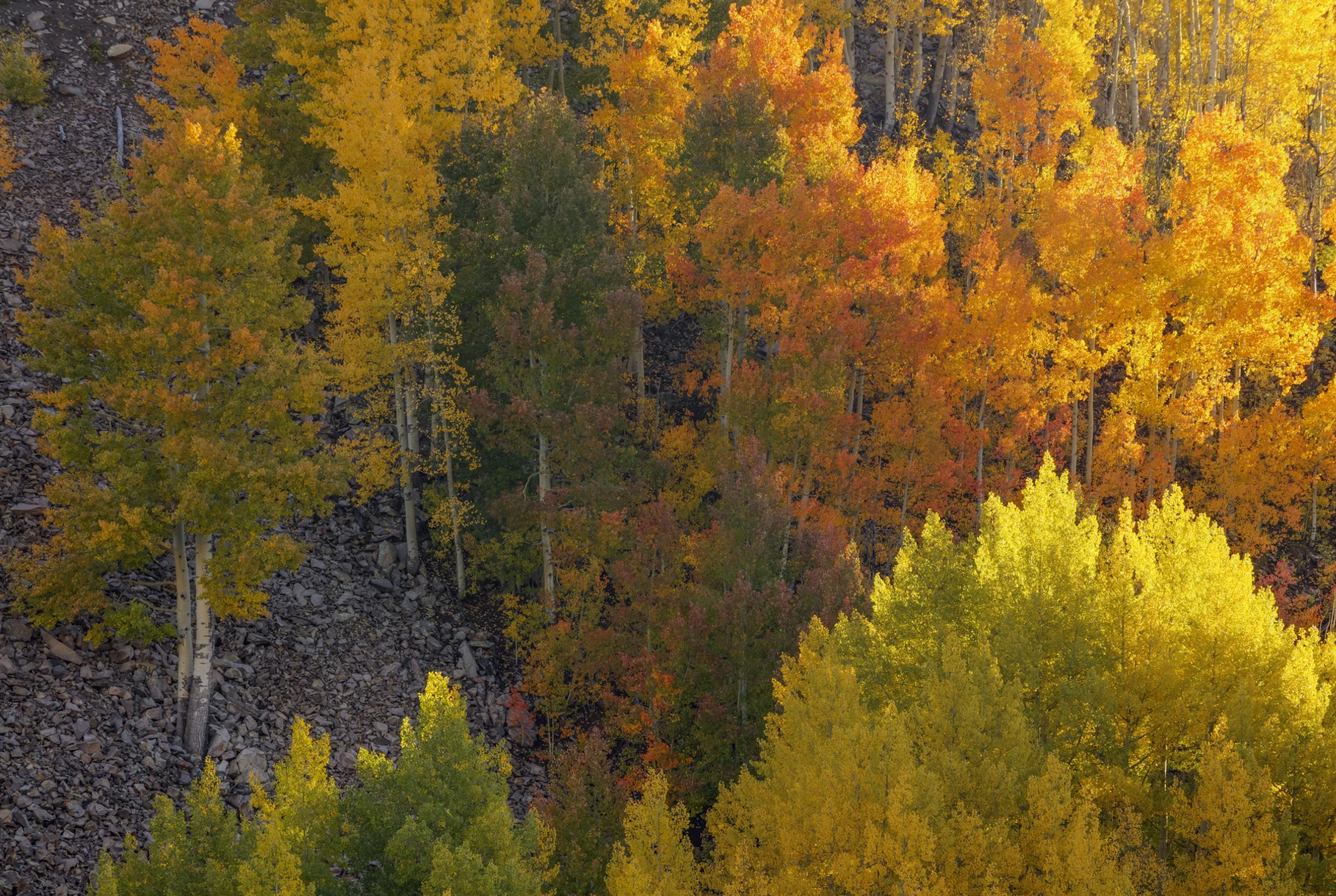 Autumn Highlights wallpaper - Happywall