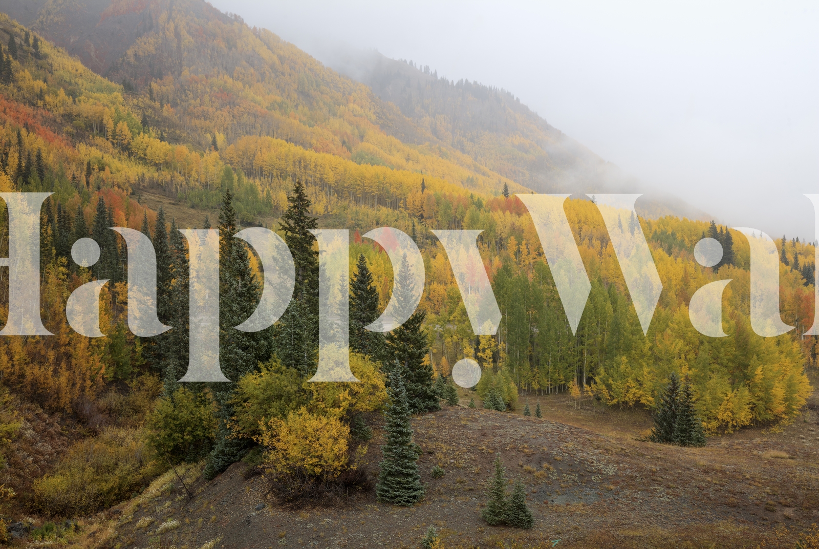 Buy Autumn Majesty Unveiled Wallpaper Online - Happywall