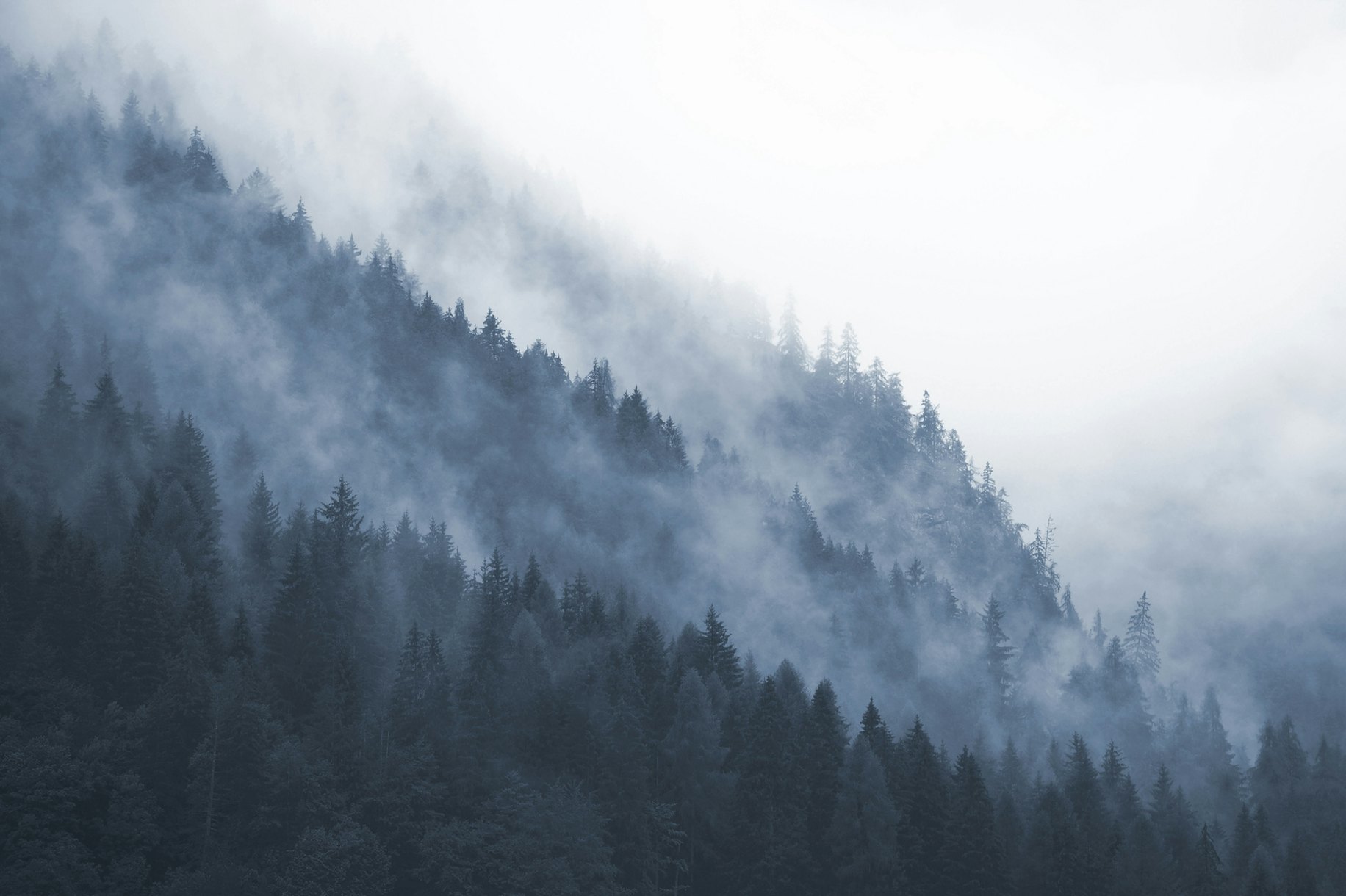 Blue Mountain Mist Wallpaper - Happywall